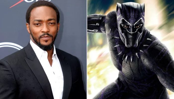 Anthony Mackie Wrote Marvel Letters to Play Black Panther, landed role ...